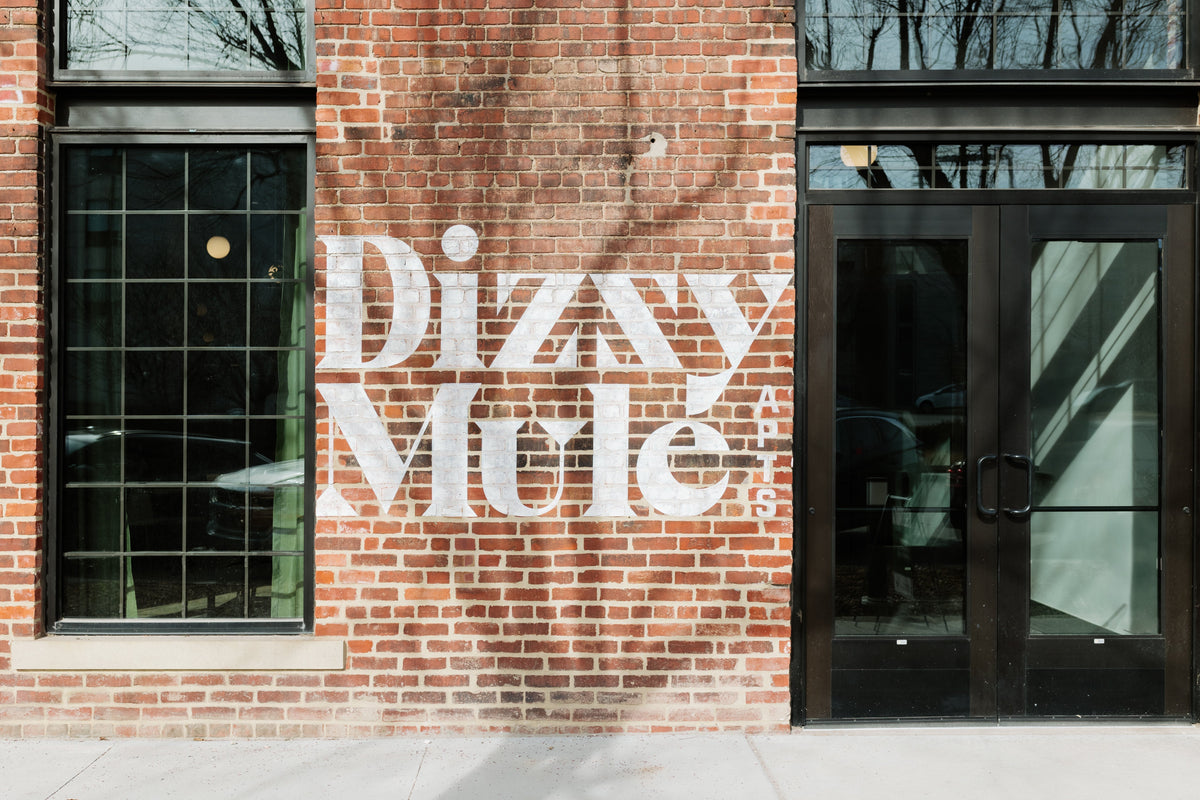 Spinning Through Style: A Dive into the Dizzy Mule Apartments' Design – Hutch Contract